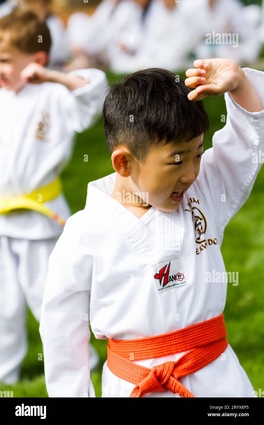 Children tae kwon do hi-res stock photography and images - Alamy
