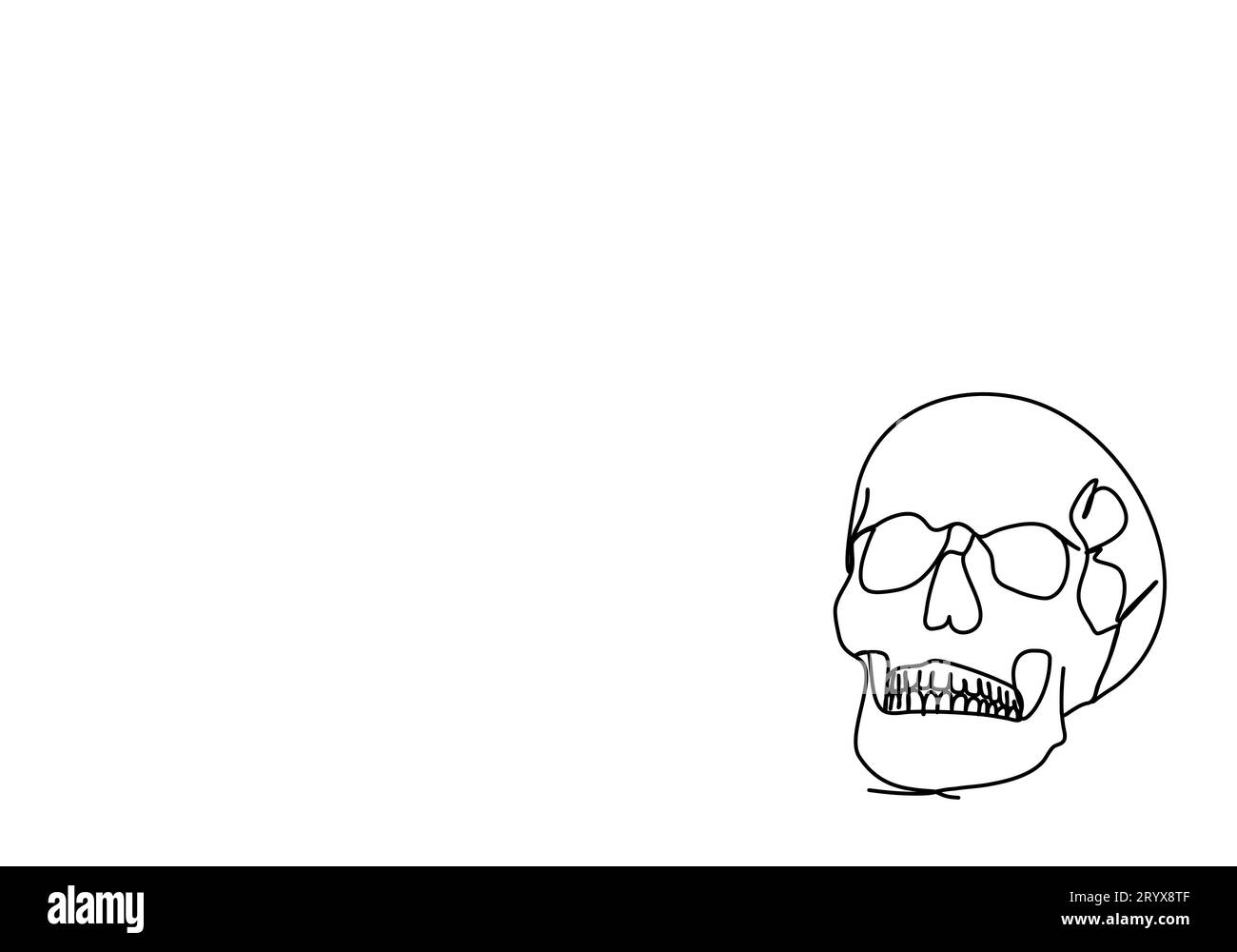 The human skull. One line drawing, vector illustration Stock Vector ...