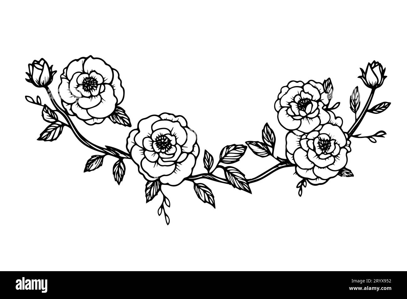 Roses border. Vintage simple line art. Hand drawn ink sketch. Engraving ...