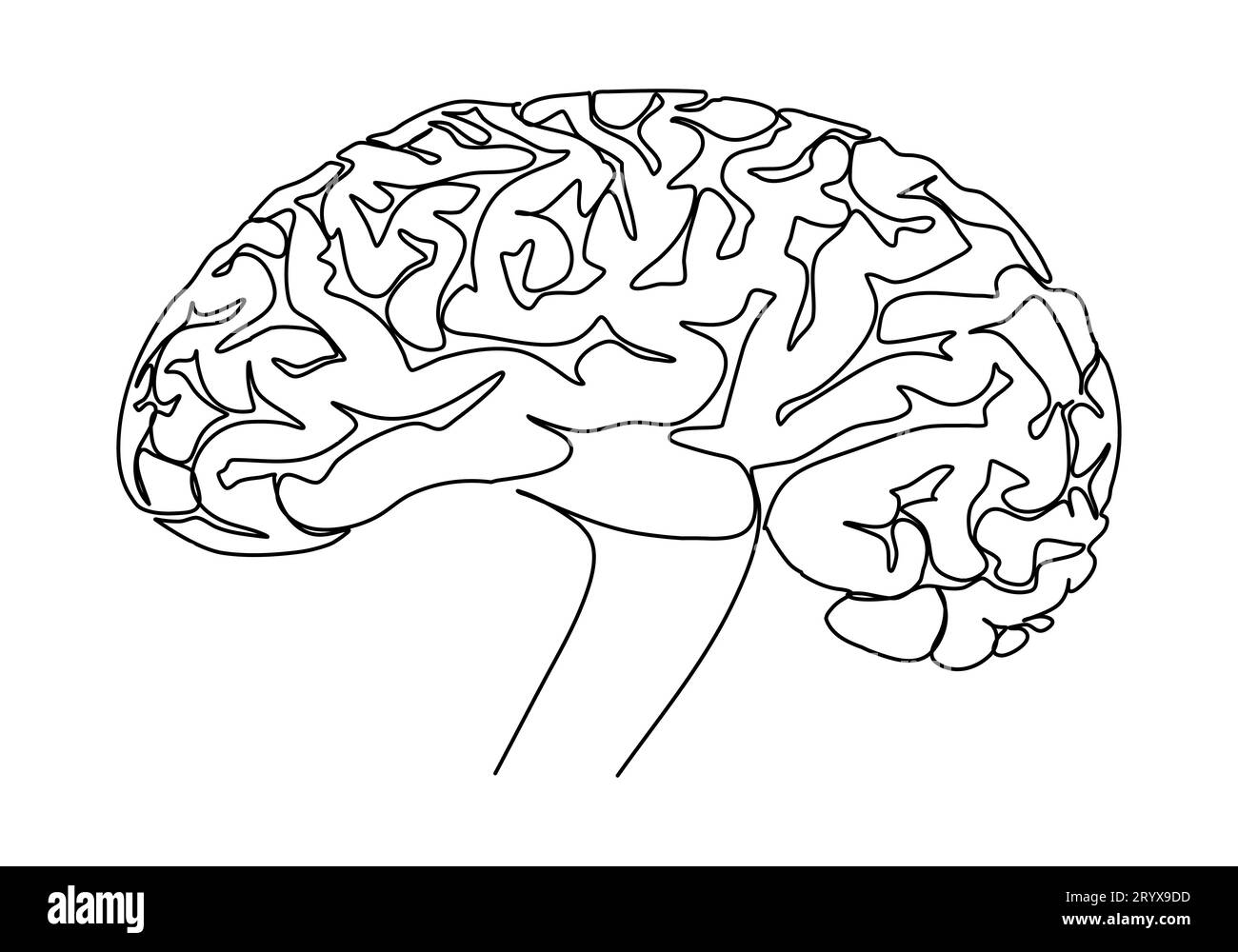 The human brain. One line drawing, vector illustration Stock Vector ...