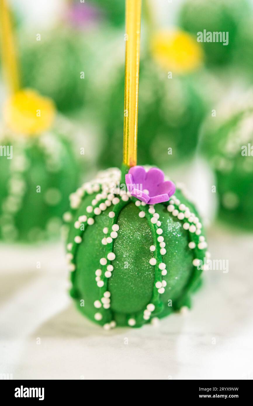 Delicious cactus cake pops for Cinco de Mayo celebration Stock Photo ...