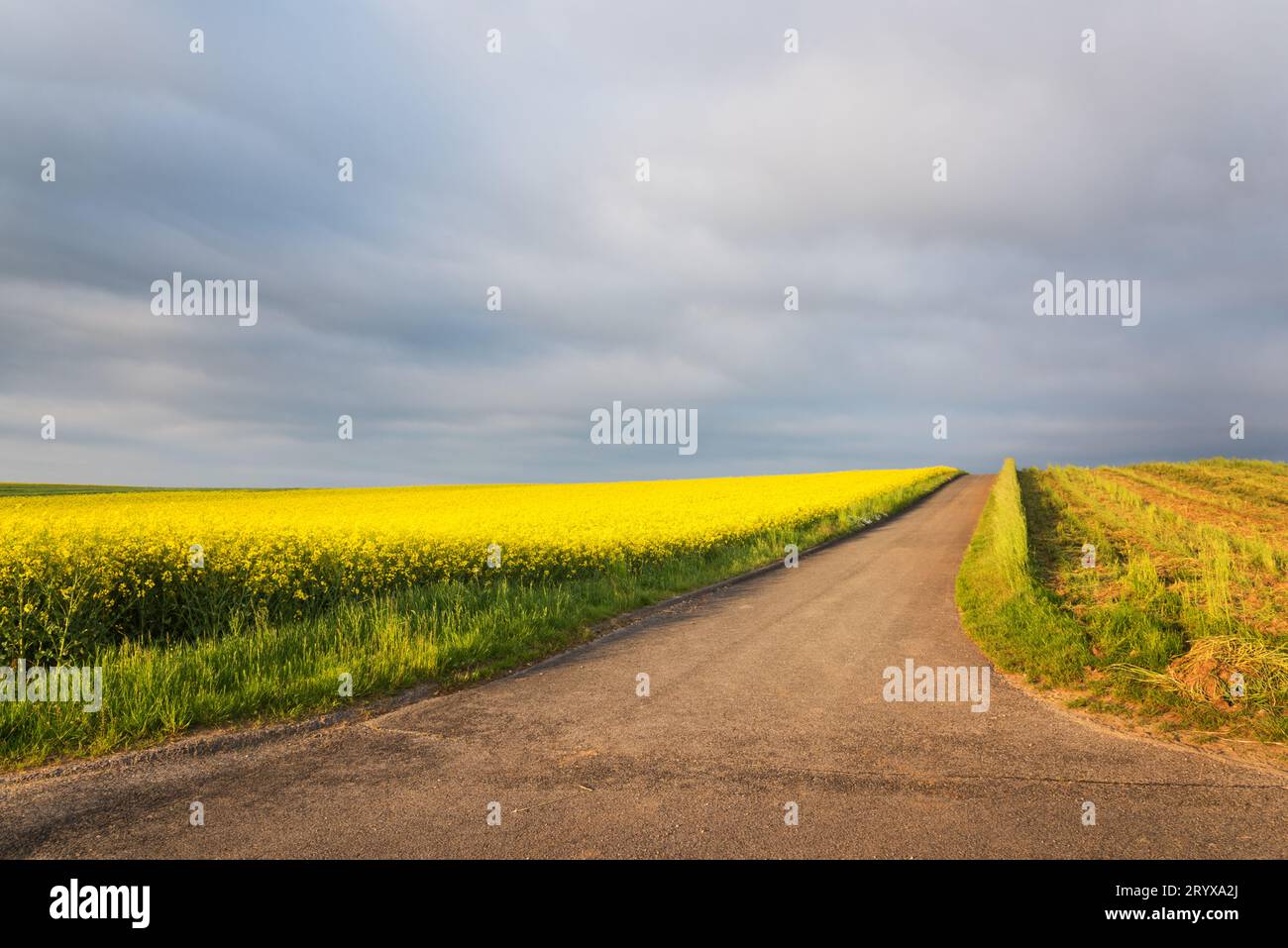Field along highway hi-res stock photography and images - Alamy