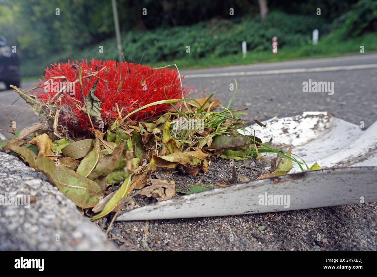Schmutz in der Gosse und auf Gehwegen Die notwendige Reinigung vom ...