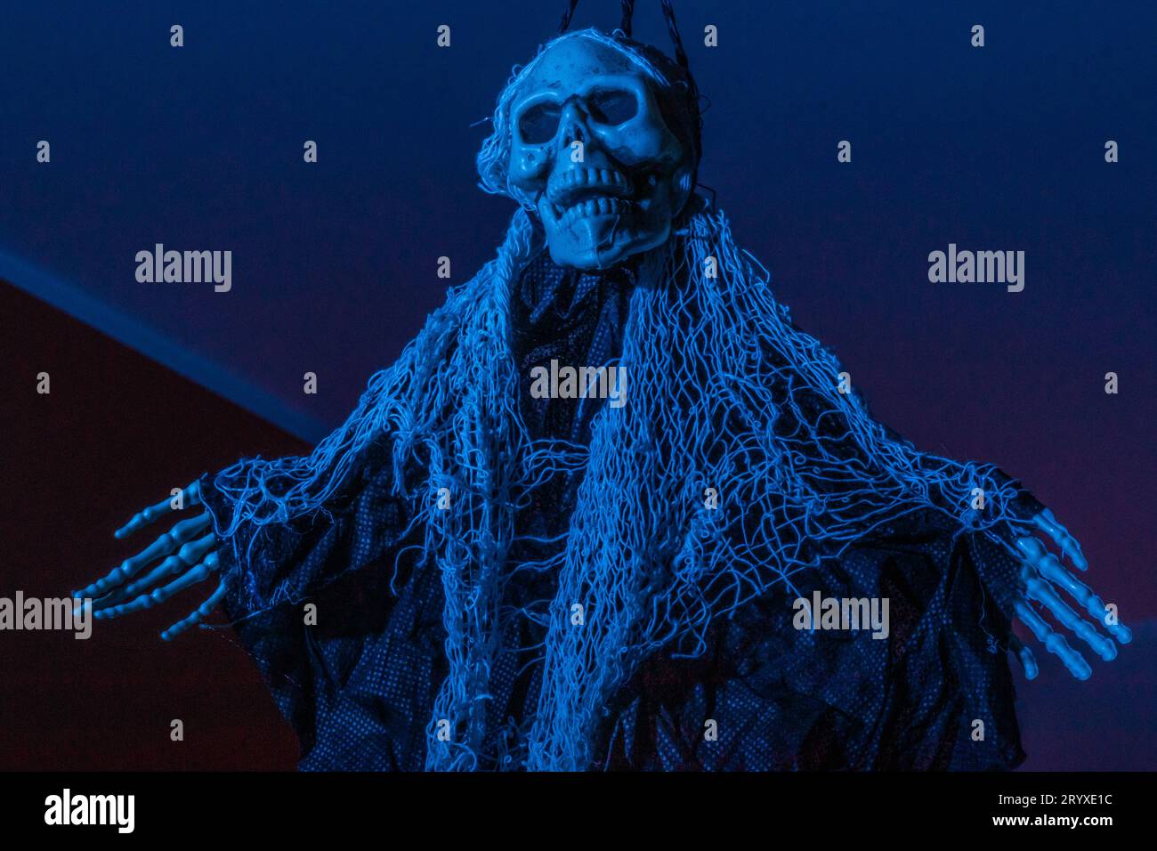 Step into the Halloween spirit with our spooky skeleton decoration ...