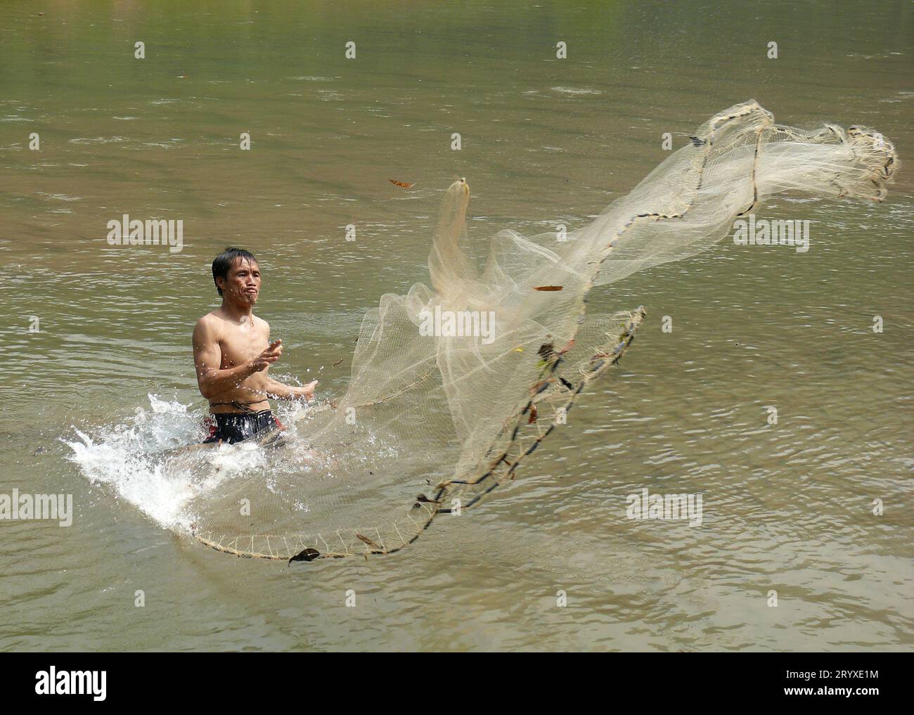 Throwing a fish hi-res stock photography and images - Alamy
