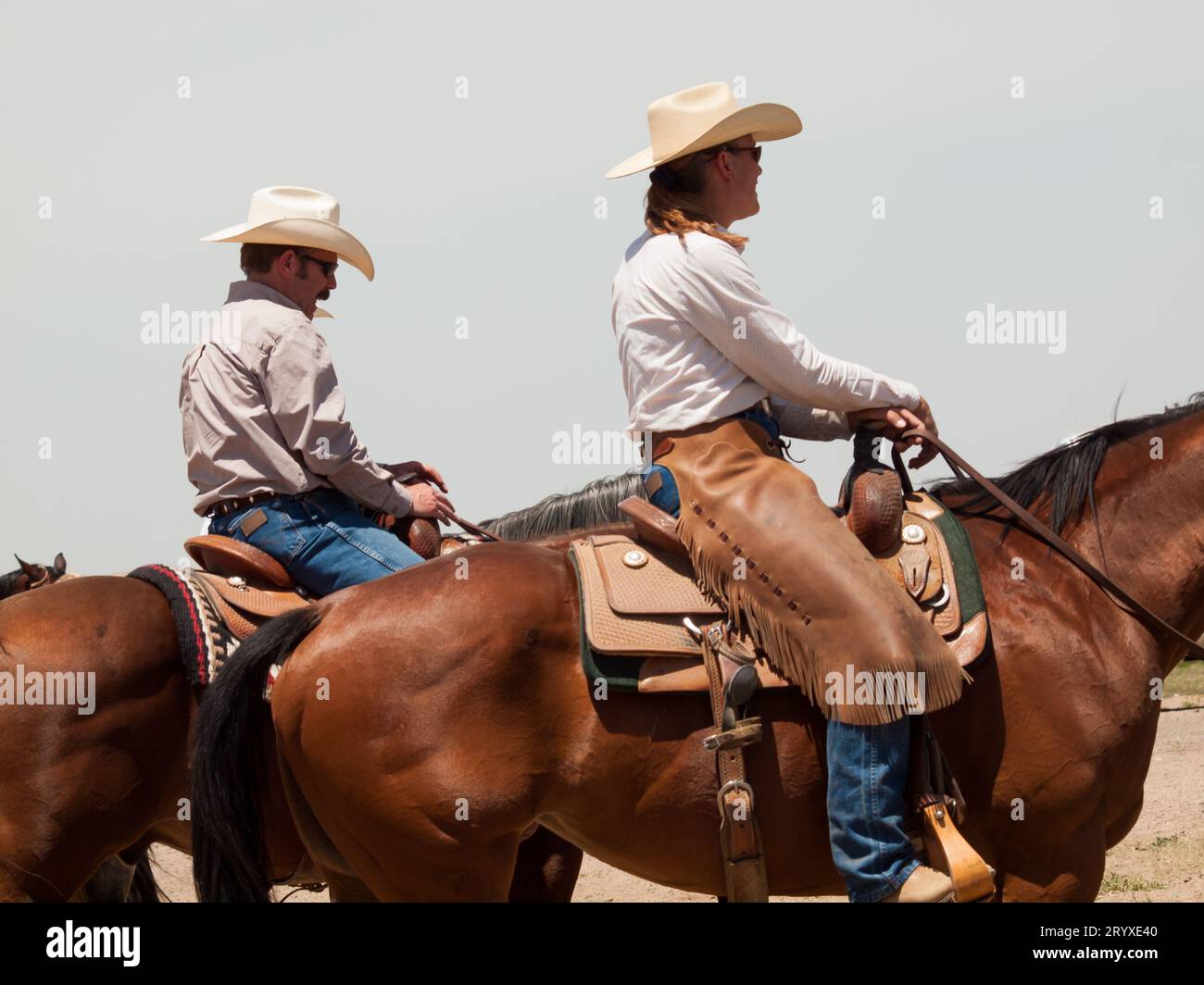 Ride animals horse horses hi-res stock photography and images - Alamy