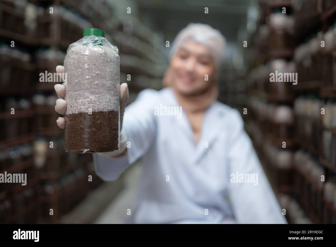 Young asian muslim female scientist doing research at a mushroom ...