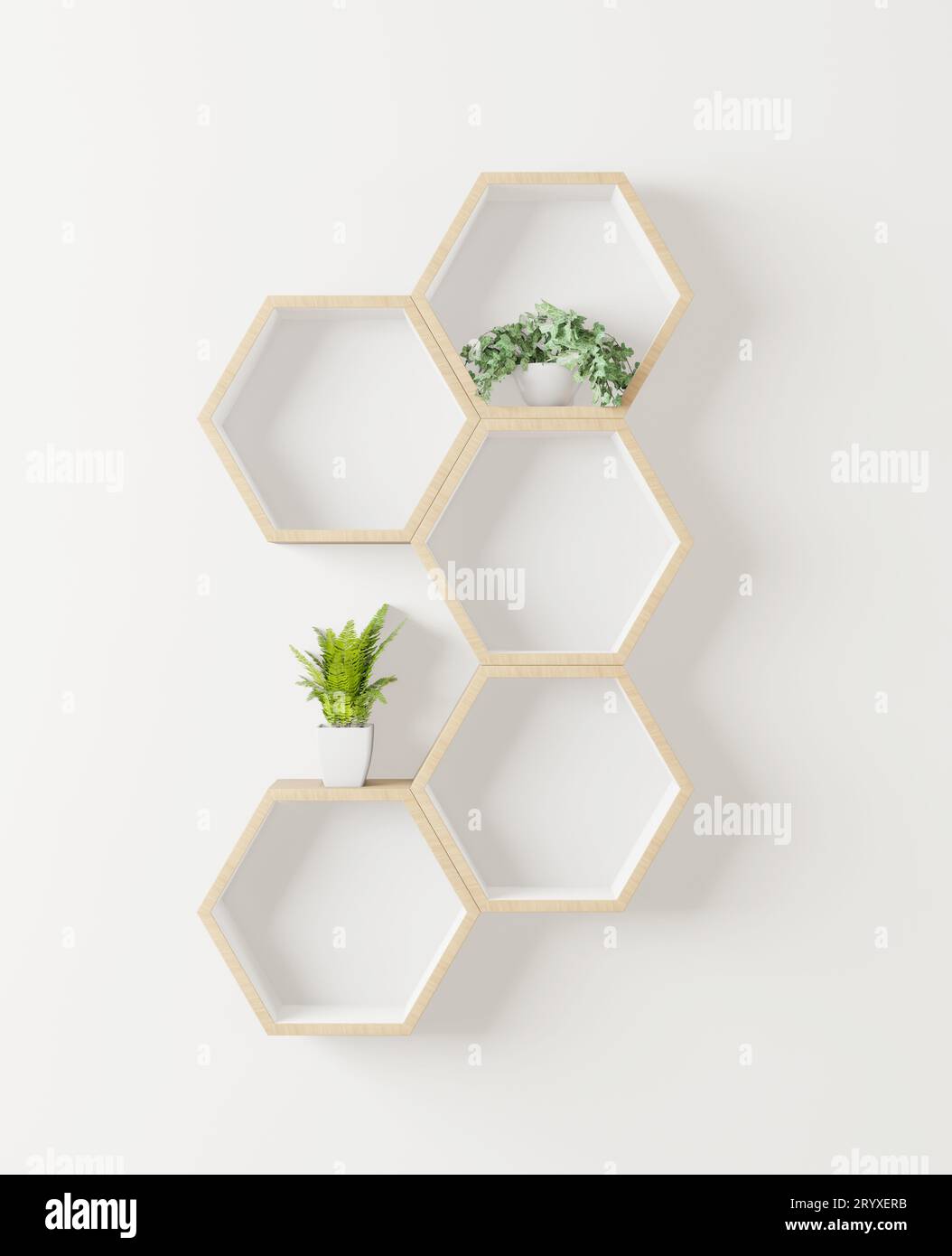 Modern hexagon floral hi-res stock photography and images - Alamy