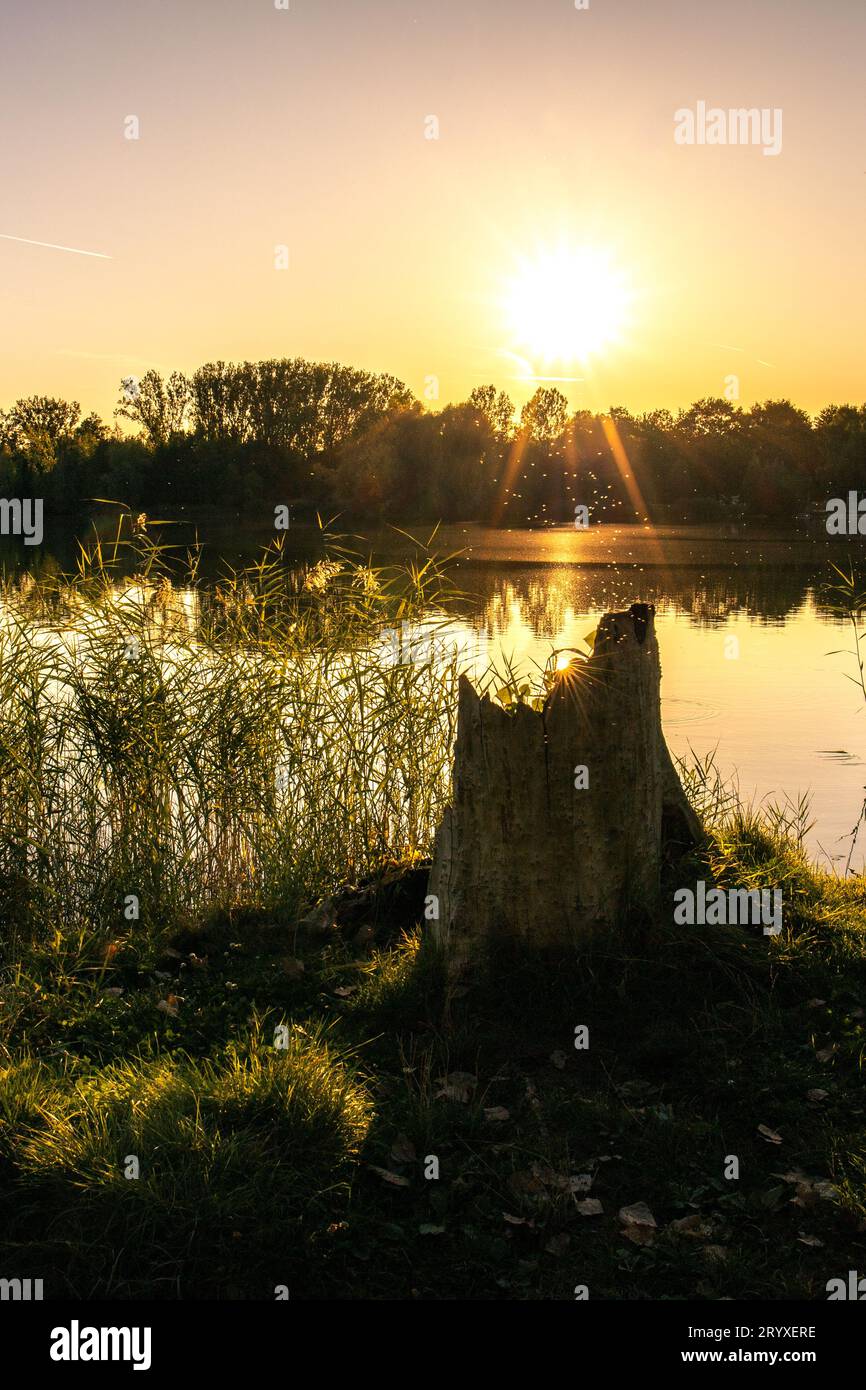 Sunrise Splendor: Immersed in Germany's Untouched Landscape Stock Photo ...