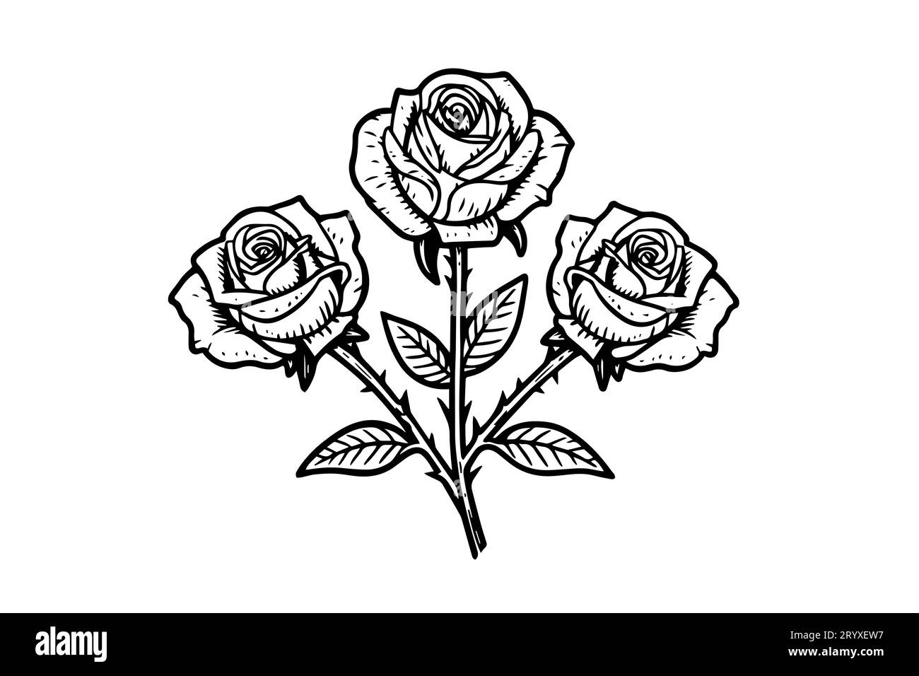 Elegant Rose. Vintage simple line art. Hand drawn ink sketch. Engraving ...