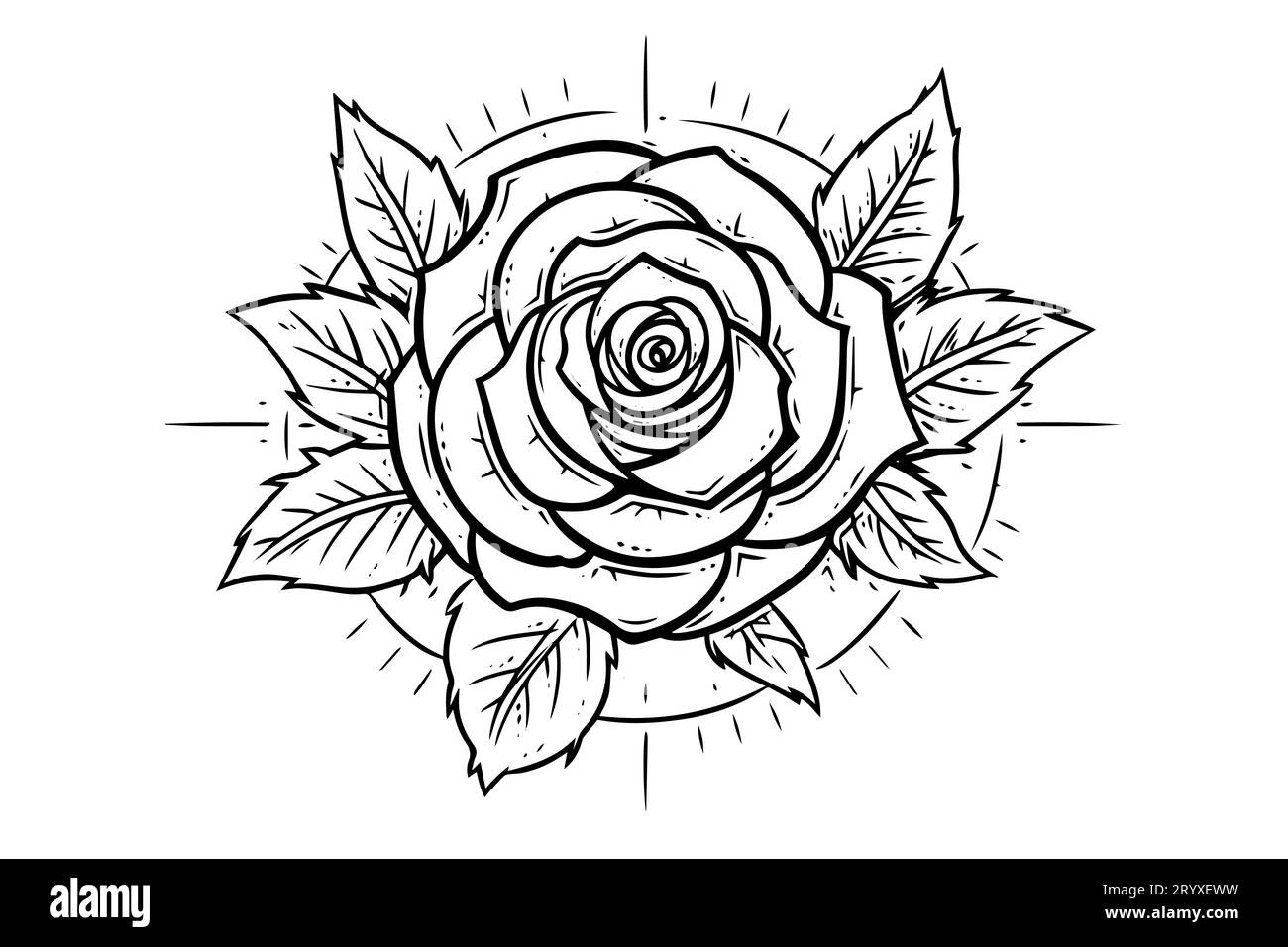 Elegant Rose. Vintage simple line art. Hand drawn ink sketch. Engraving ...