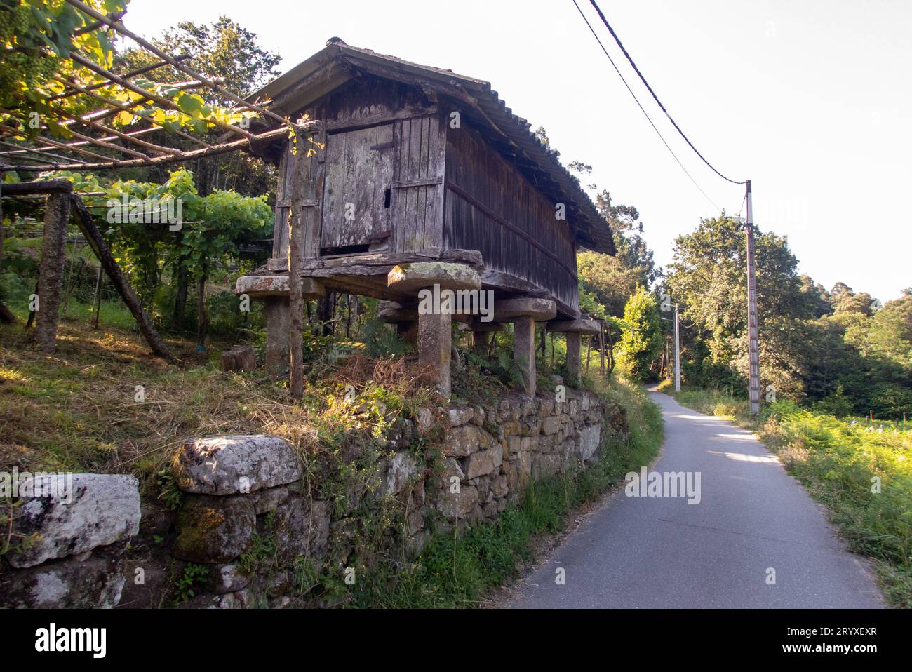 A typical Galician horréo, a traditional granary on stilts in a tiny ...