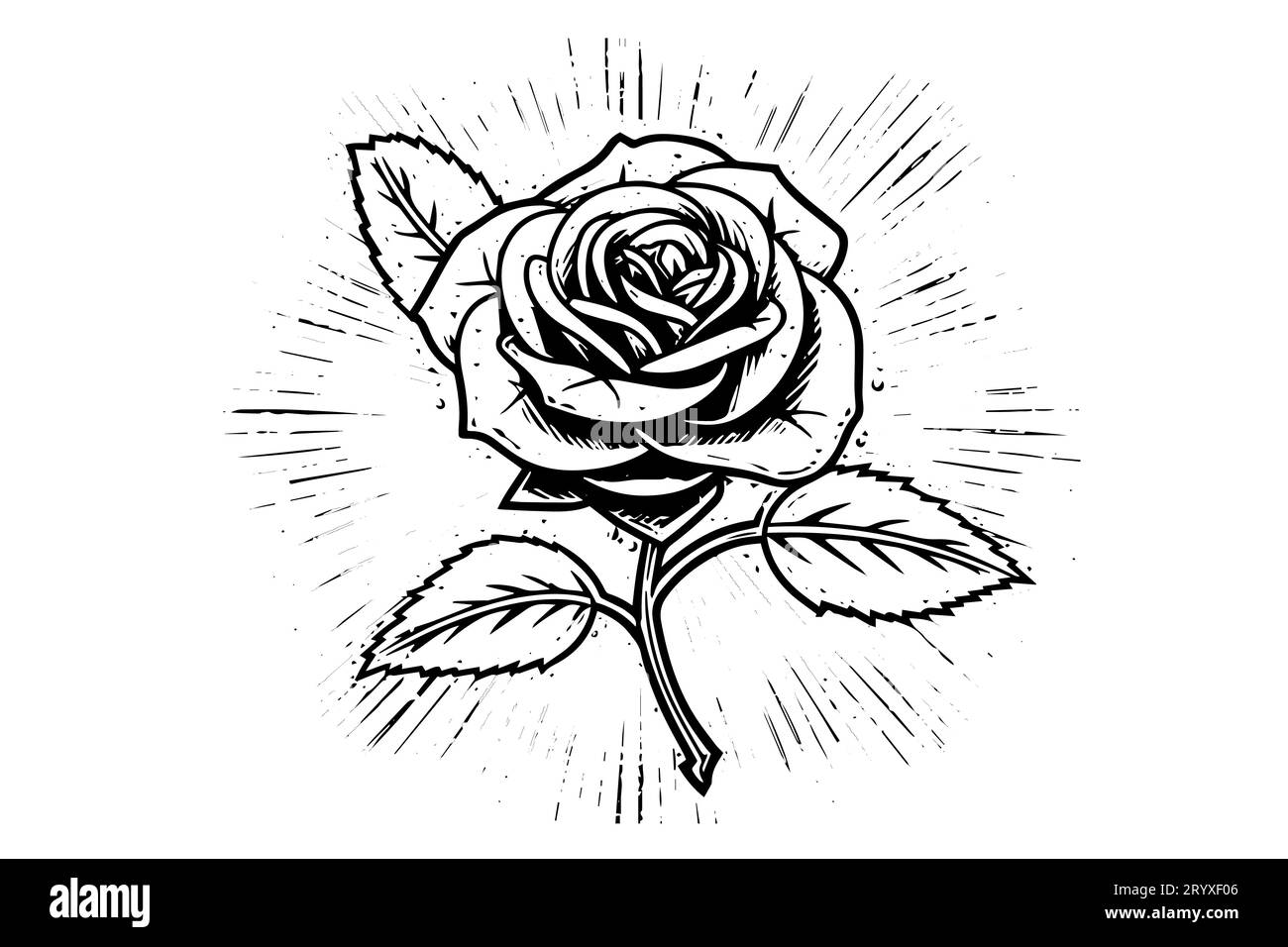 Elegant Rose. Vintage simple line art. Hand drawn ink sketch. Engraving ...