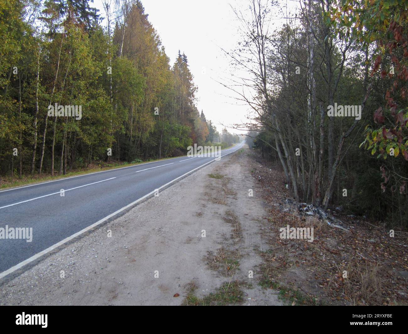 Deserted asphalt highway through the forest under a cloudy sky ...