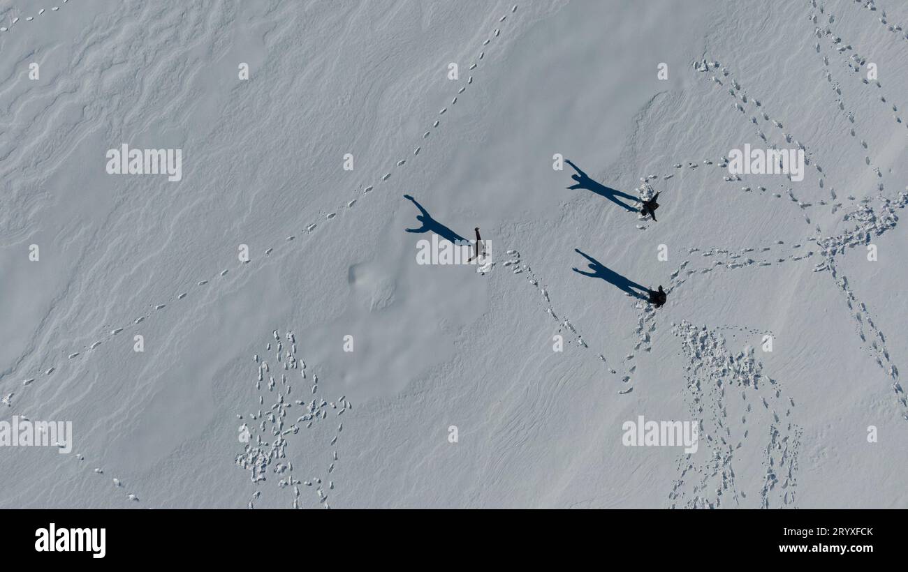 Human shadows and footprints on the snow Stock Photo - Alamy