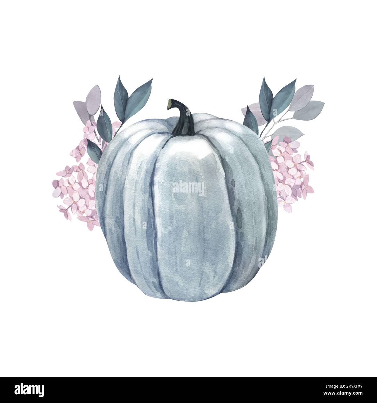 Watercolor realistic whole fresh blue pumpkin. Hand-drawn illustration ...