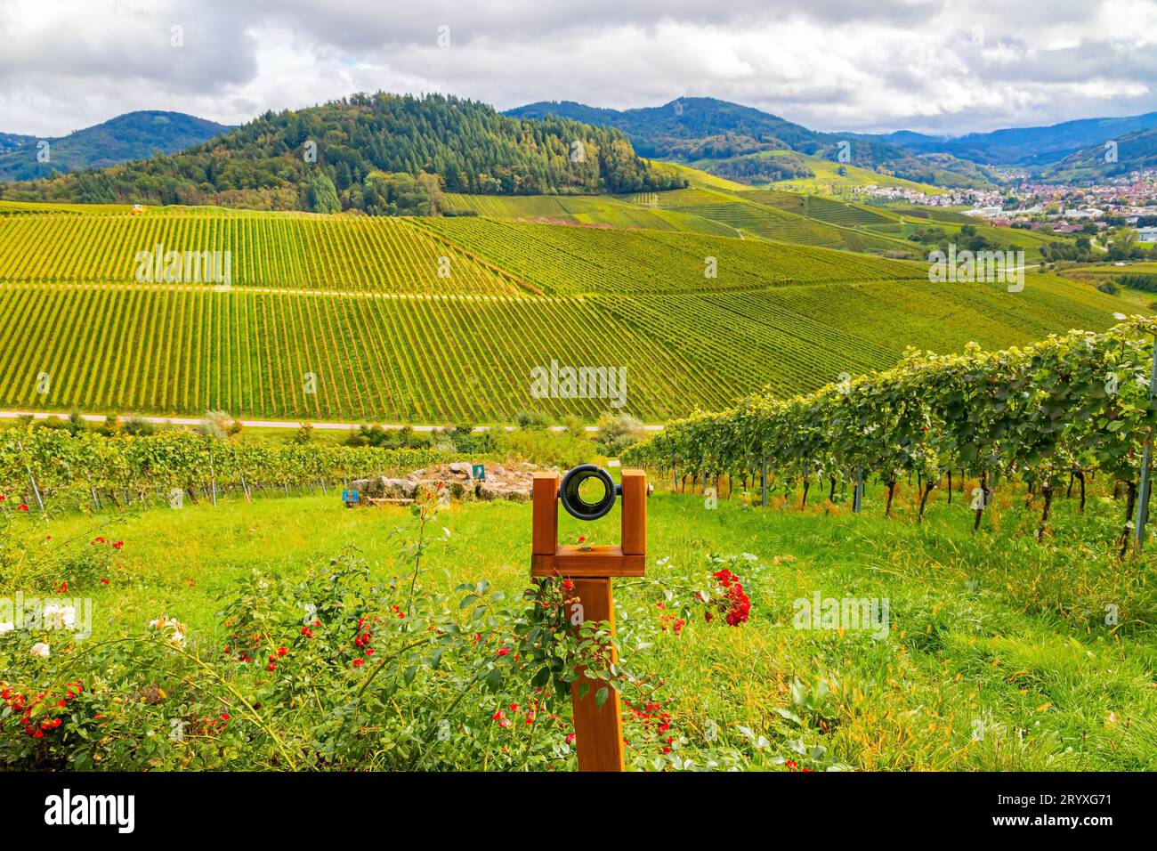 Kappelrodeck hi-res stock photography and images - Alamy