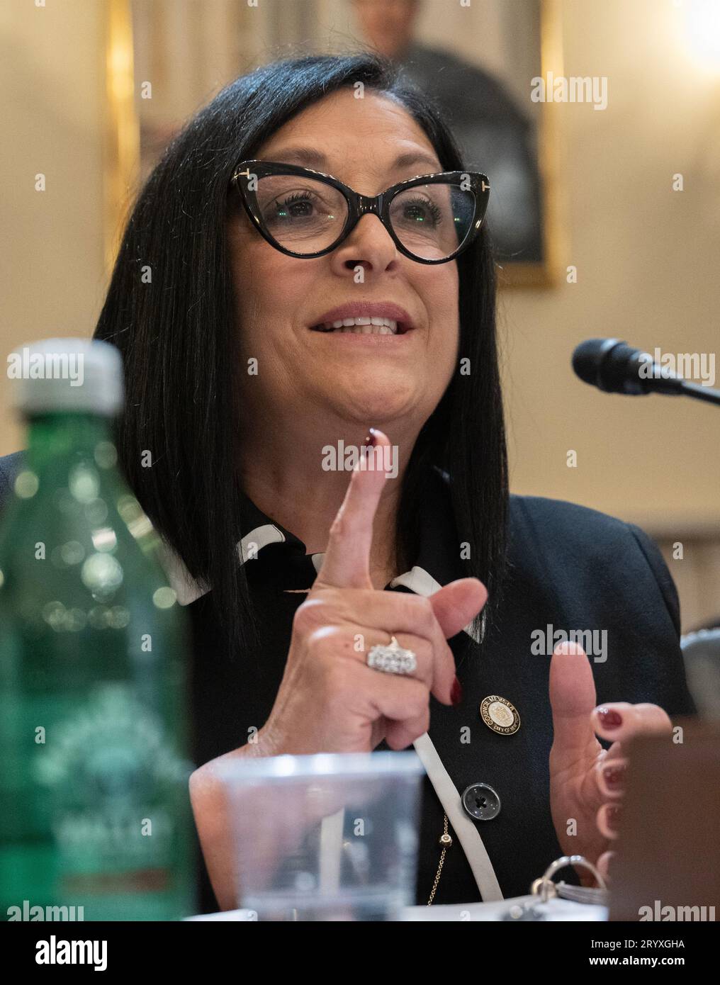 Joann Ariola, New York City Council Member (R-District 32), Ozone Park ...