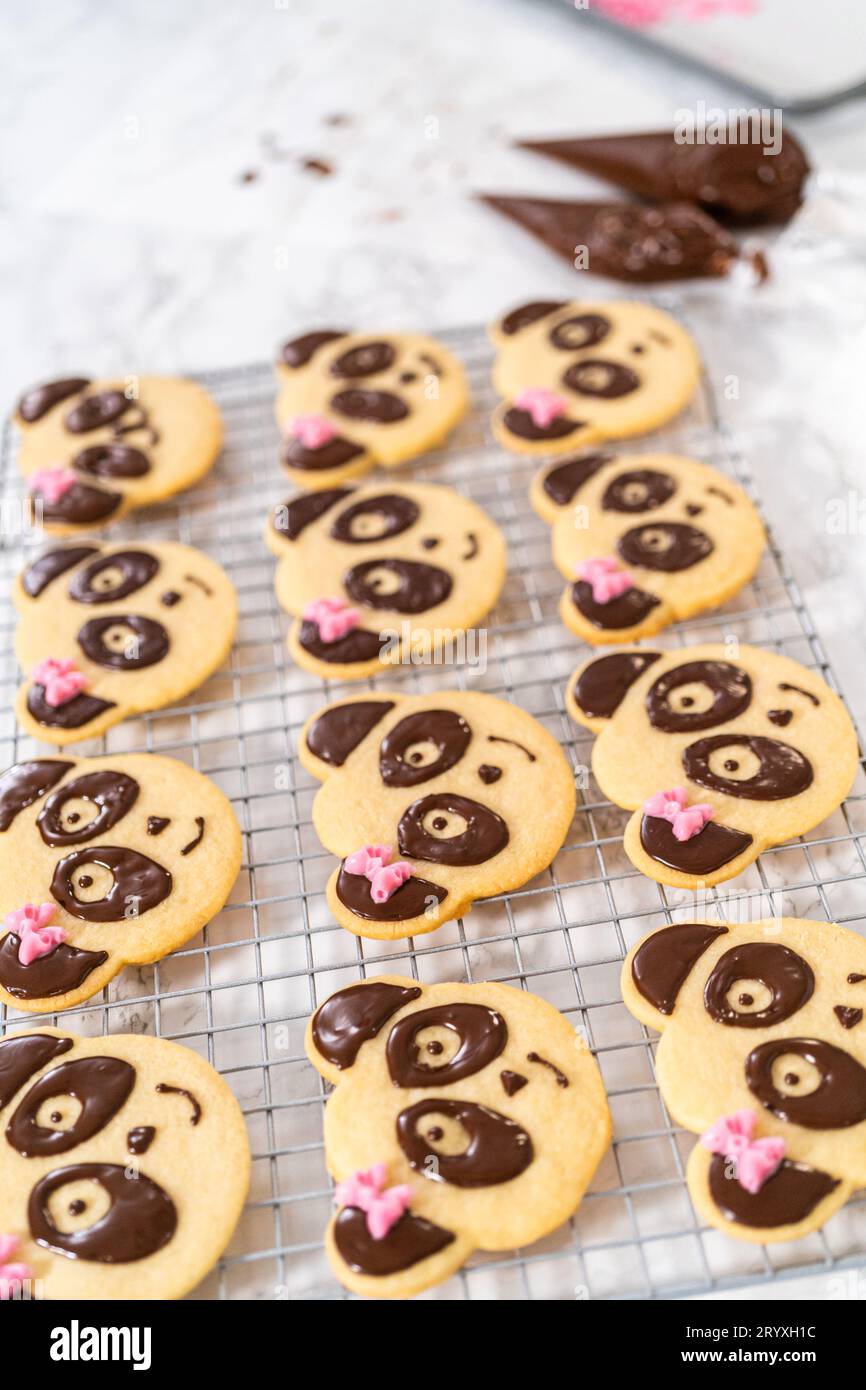 Panda shaped shortbread cookies with chocolate icing Stock Photo - Alamy
