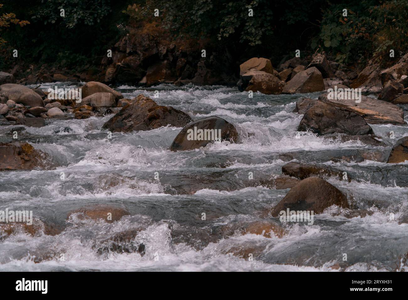 Natural spring water flowing from the mountains. Stream and stones ...