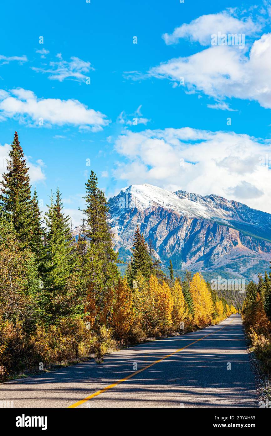 Icefields parkway canadian rocky hi-res stock photography and images ...