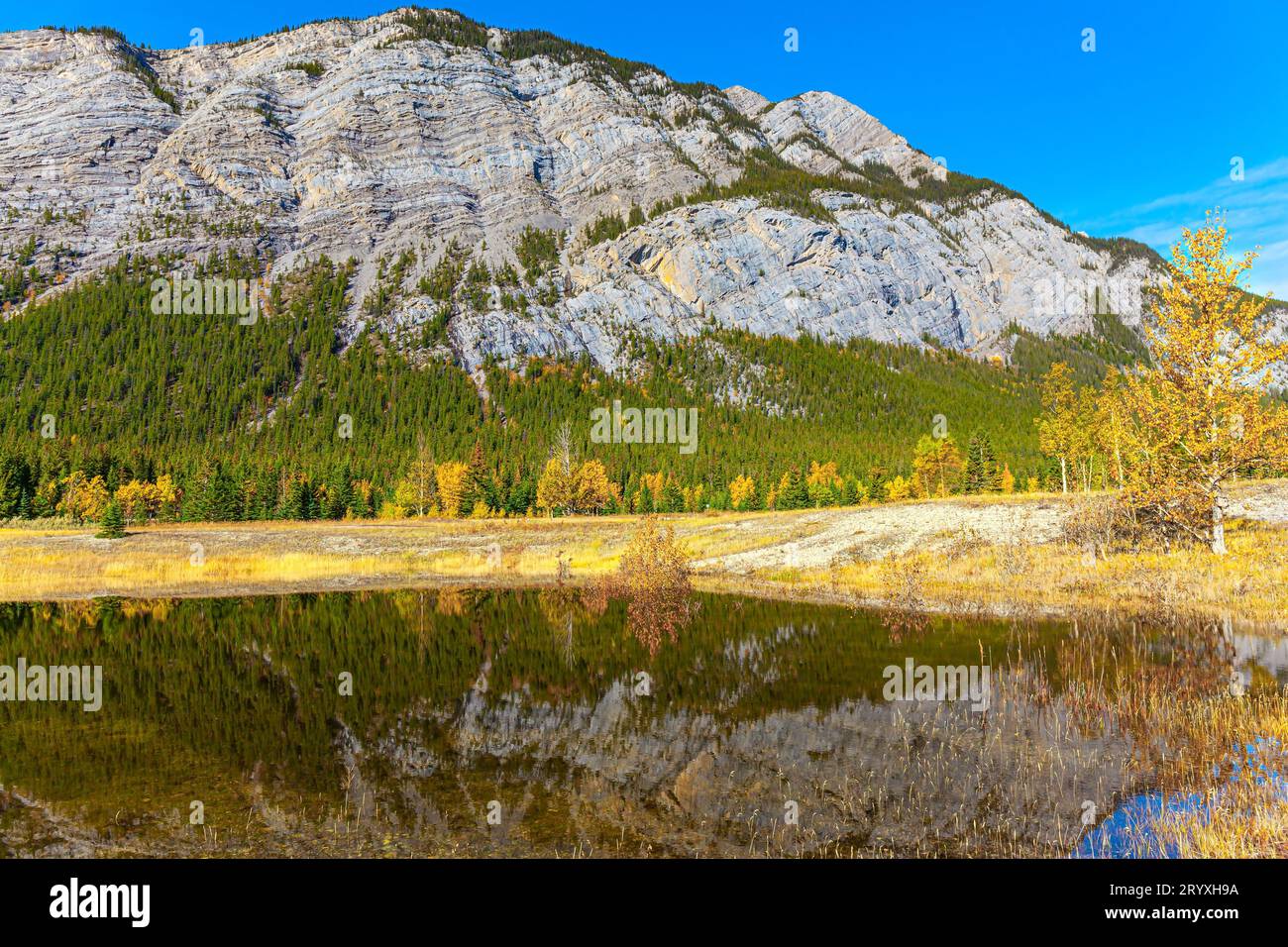 Canadia rocky mountains hi-res stock photography and images - Alamy
