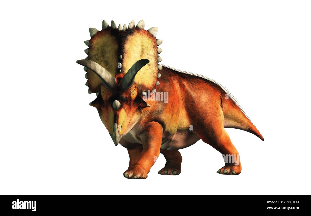 Coahuilaceratops is a species of herbivorous dinosaur that lived during ...