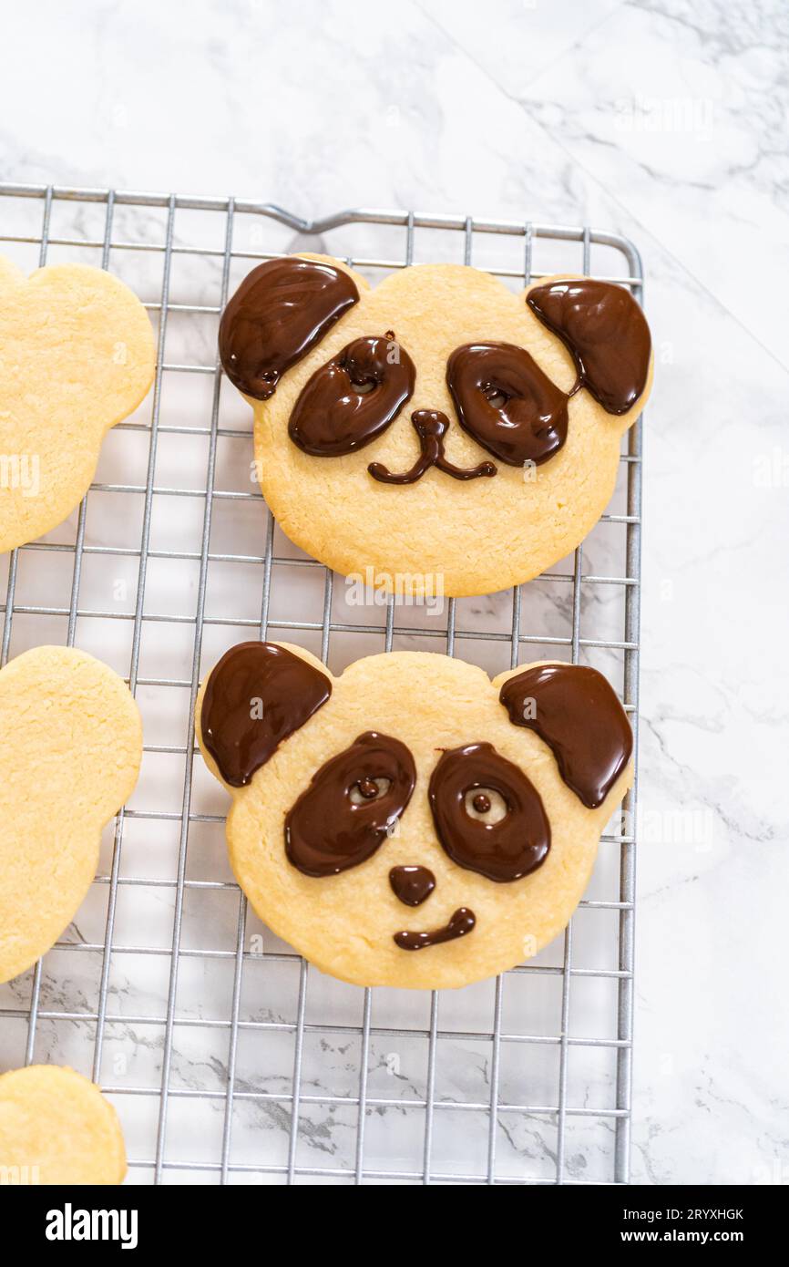 Panda shaped shortbread cookies with chocolate icing Stock Photo - Alamy