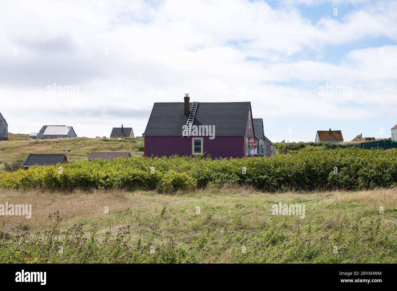 Settlement on Ile-aux-Marins in St. Pierre, France Stock Photo - Alamy