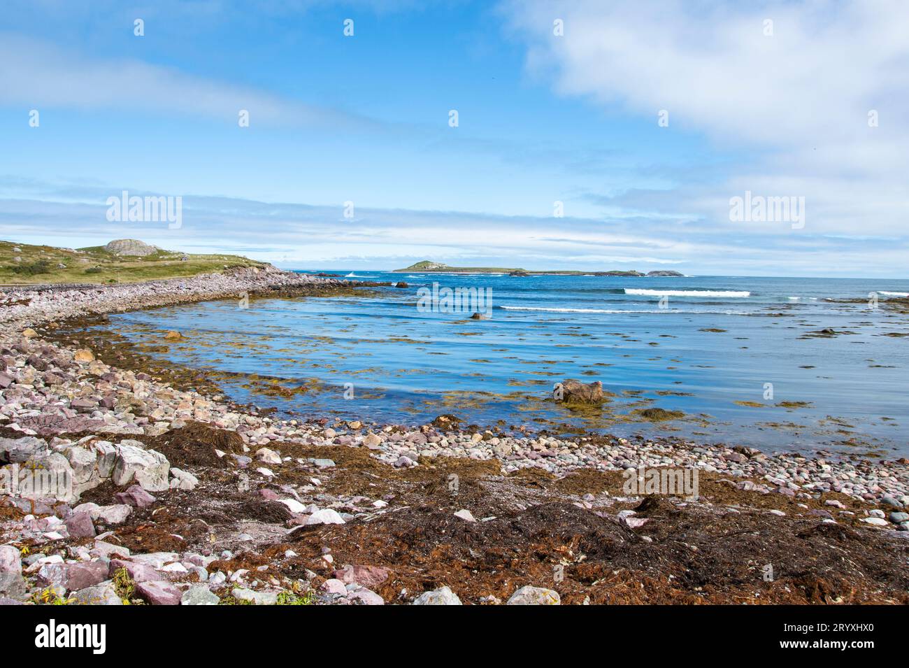 Beach on Ile-aux-Marins in St. Pierre, France Stock Photo - Alamy