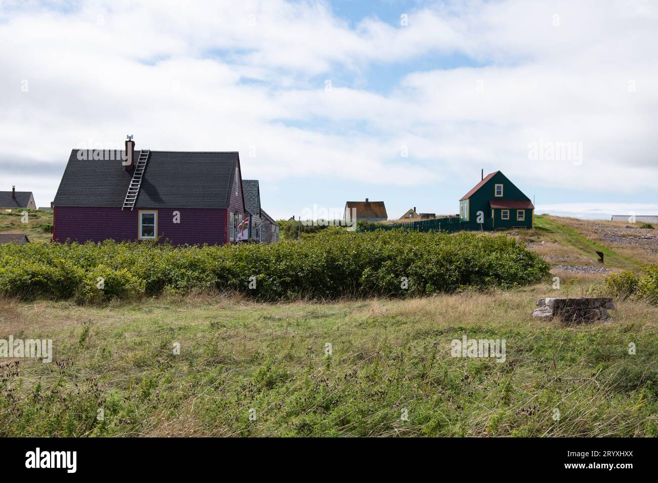 Settlement on Ile-aux-Marins in St. Pierre, France Stock Photo - Alamy