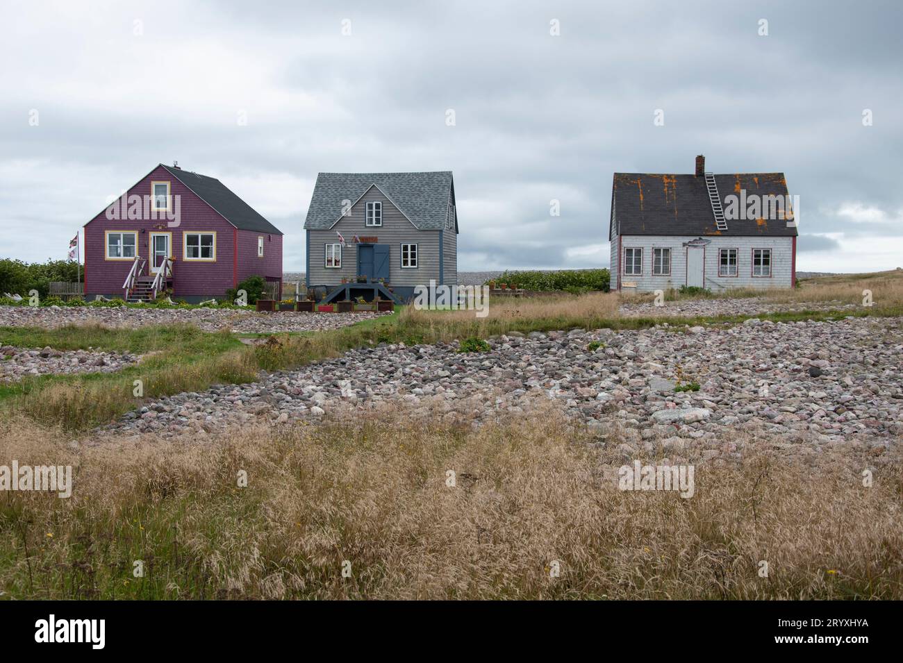 Settlement on Ile-aux-Marins in St. Pierre, France Stock Photo - Alamy
