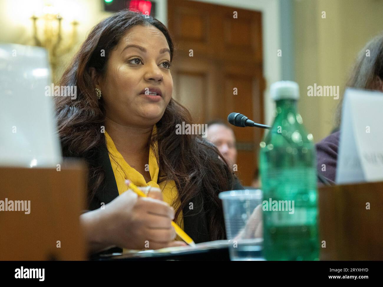 Jaime Williams, Assemblymember (D-59th District), New York State ...