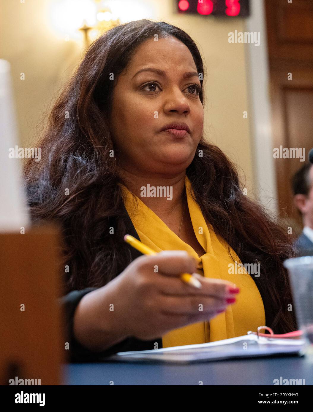 Jaime Williams, Assembly member (D-59th District), New York State ...