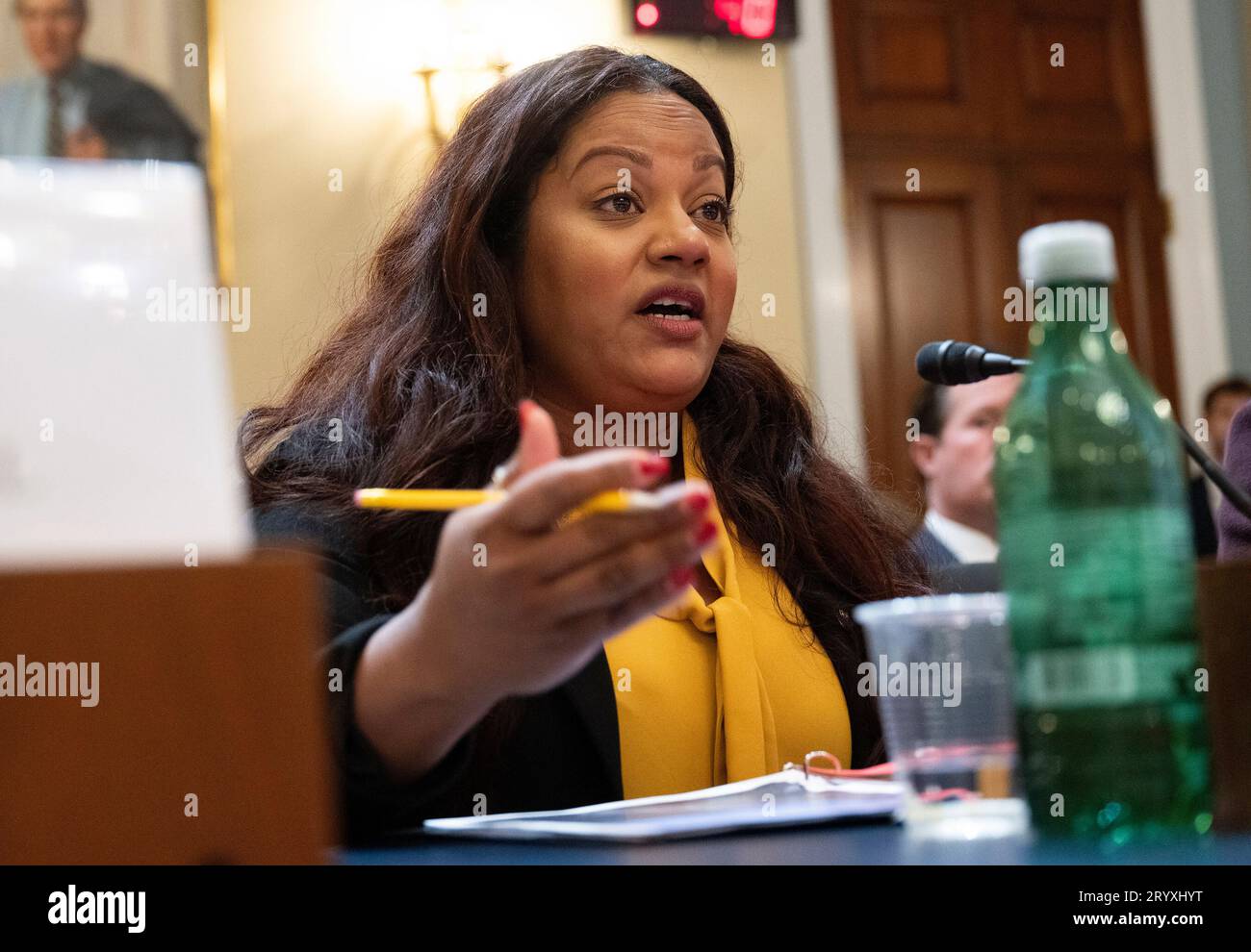 Jaime Williams, Assembly member (D-59th District), New York State ...