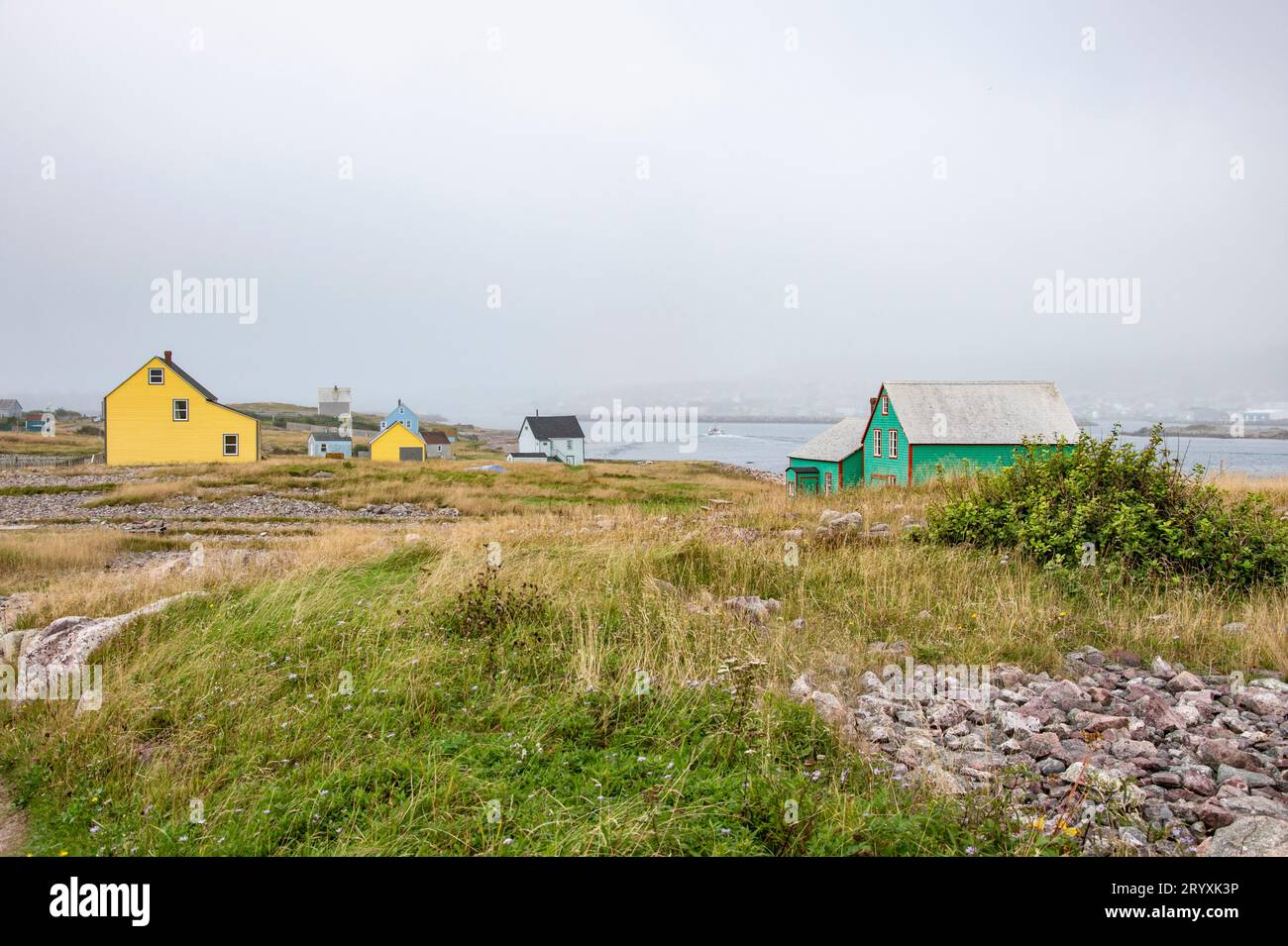 Settlement on Ile-aux-Marins in St. Pierre, France Stock Photo - Alamy