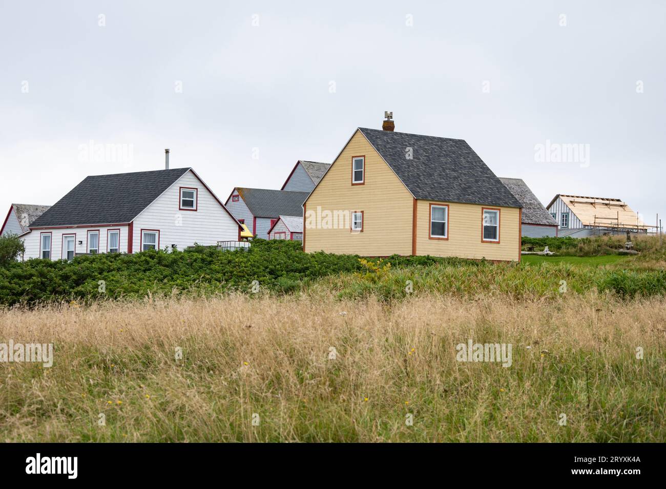 Settlement on Ile-aux-Marins in St. Pierre, France Stock Photo - Alamy