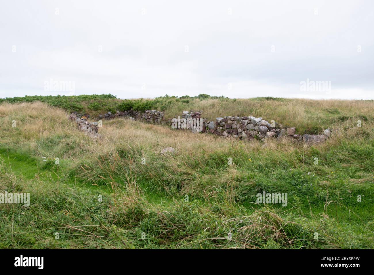 Remains of stone foundations on Ile-aux-Marins in St. Pierre, France ...