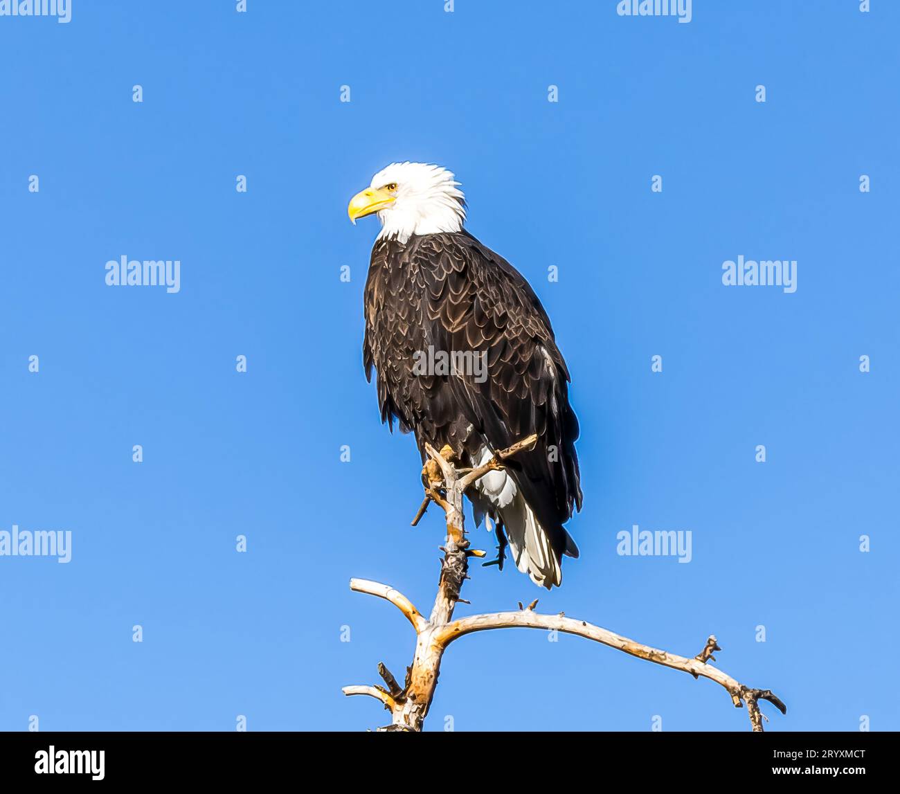 Muddy pass lake hi-res stock photography and images - Alamy