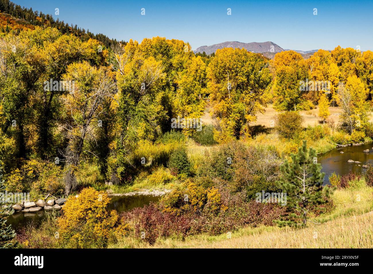 Sleeping Giant (Elk Mountain) with fall foliage in the foreground Stock ...