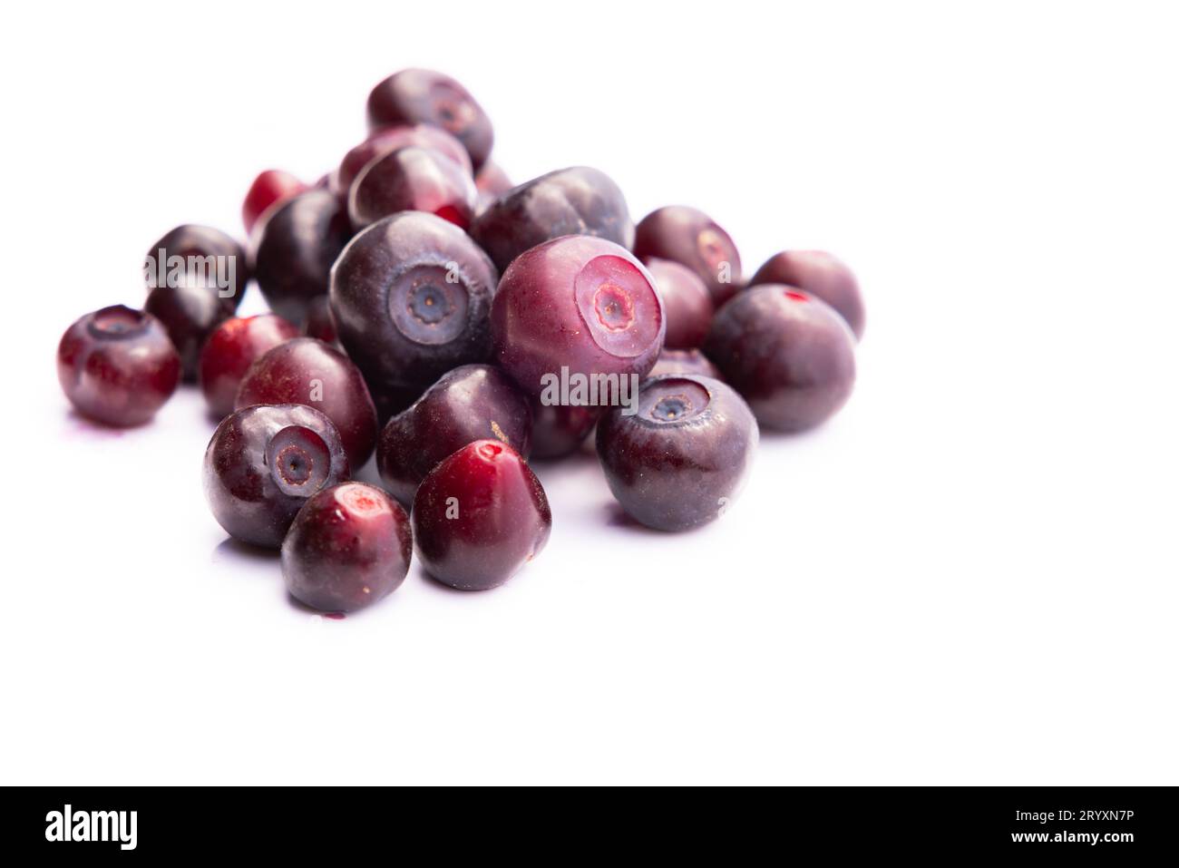 Montana huckleberry Cut Out Stock Images & Pictures - Alamy
