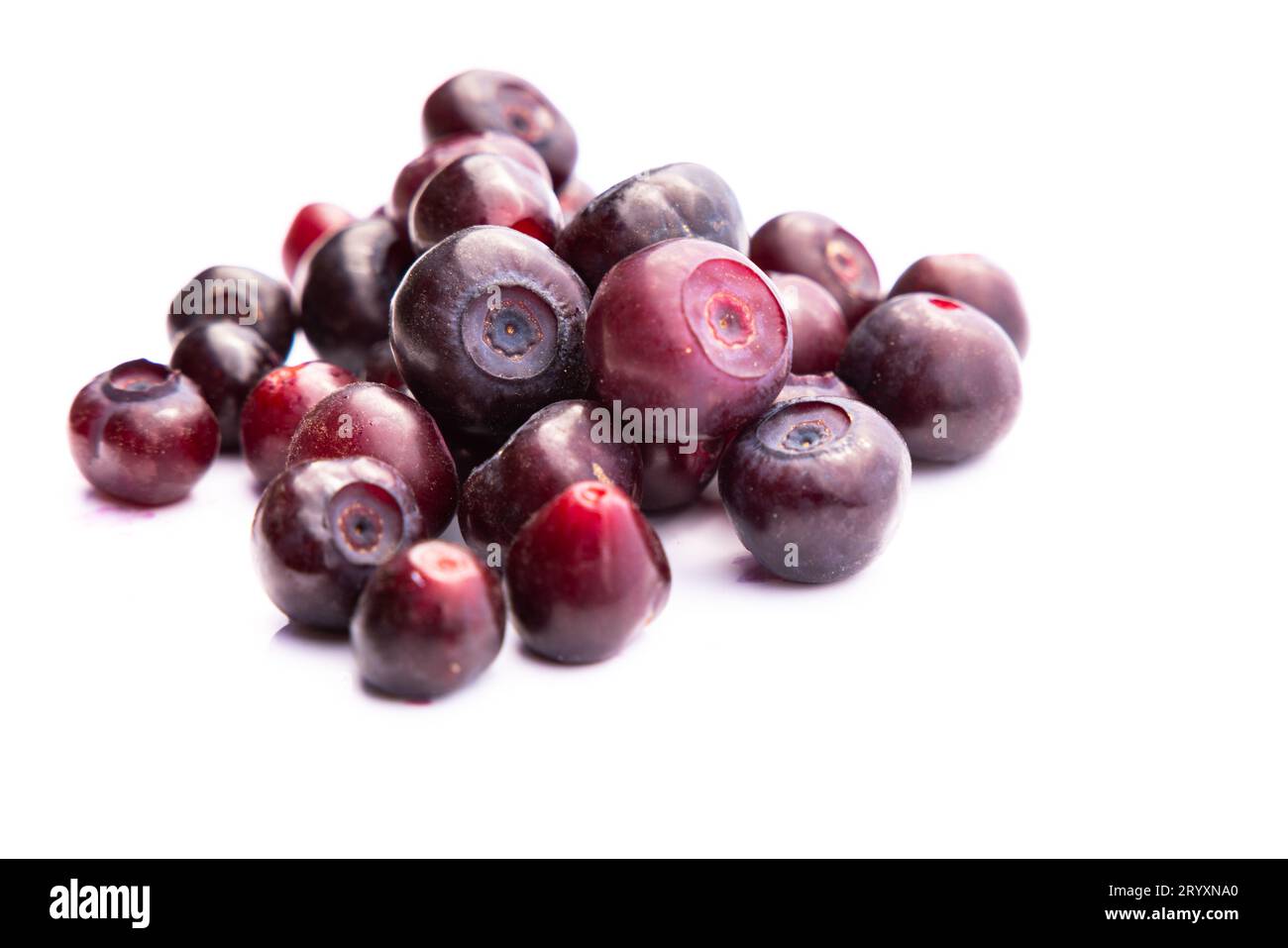 Montana huckleberry Cut Out Stock Images & Pictures - Alamy