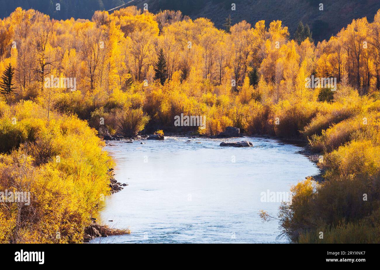 Tundra landscape trees river hi-res stock photography and images - Alamy