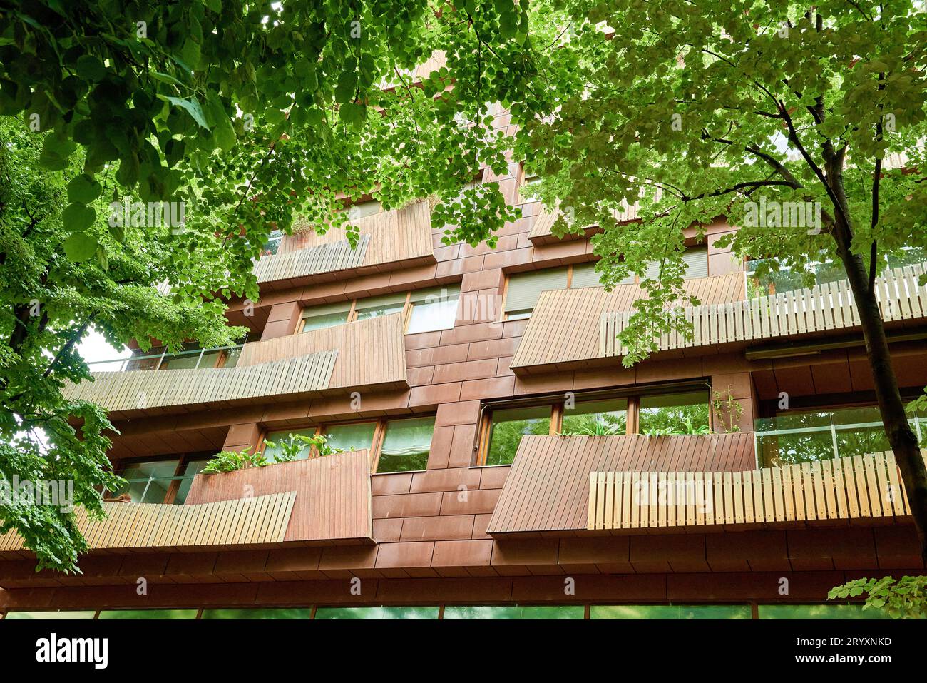 Eco-friendly building in the city. Green tree branches with leaves and ...