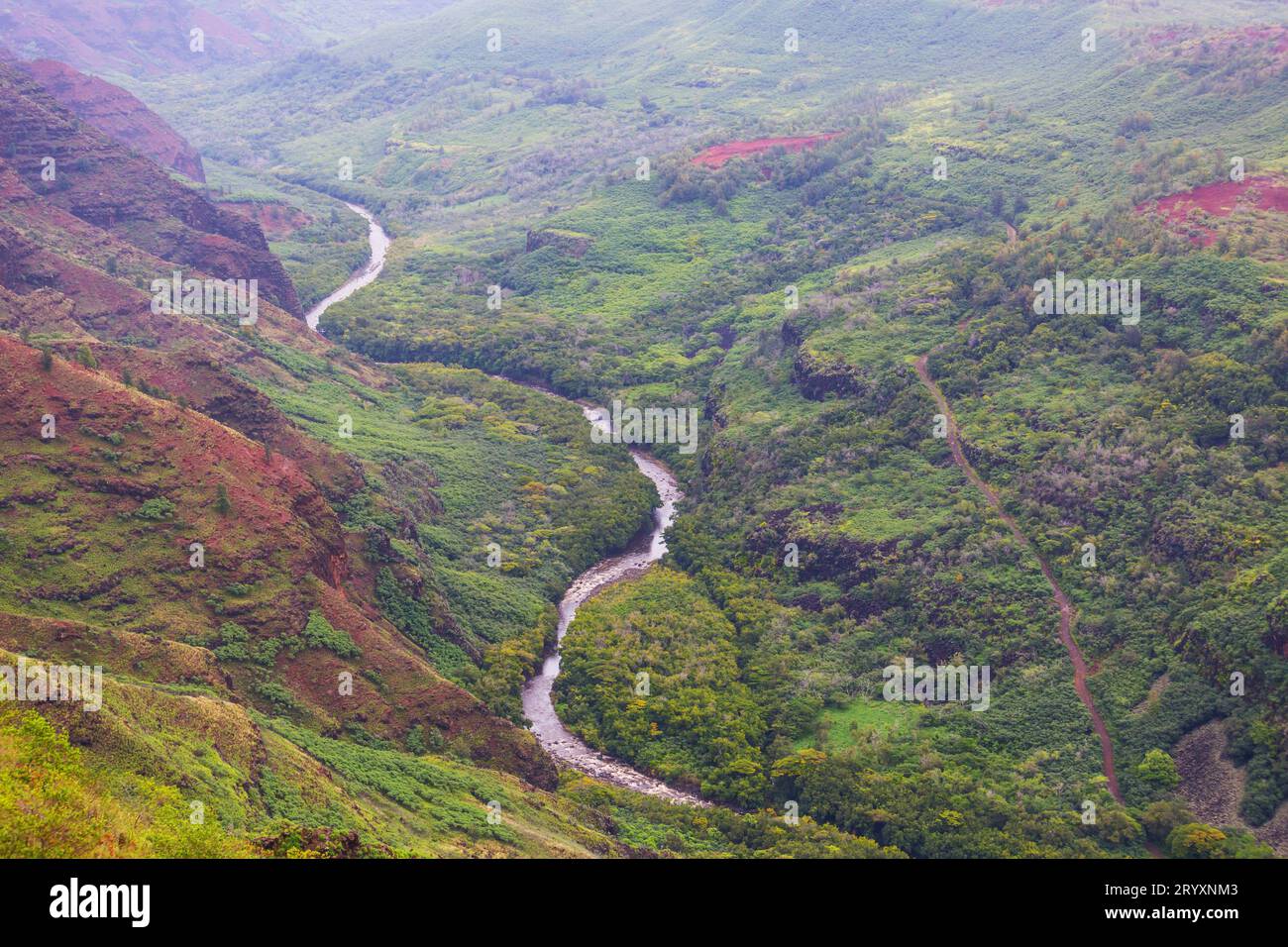 Deep ocean canyon hi-res stock photography and images - Alamy