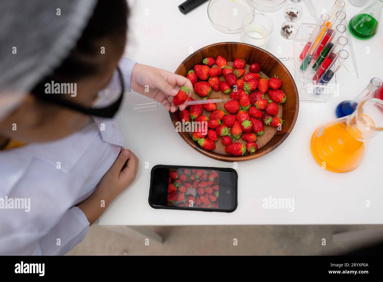 Little girl scientist with science class strawberry nutrient production ...