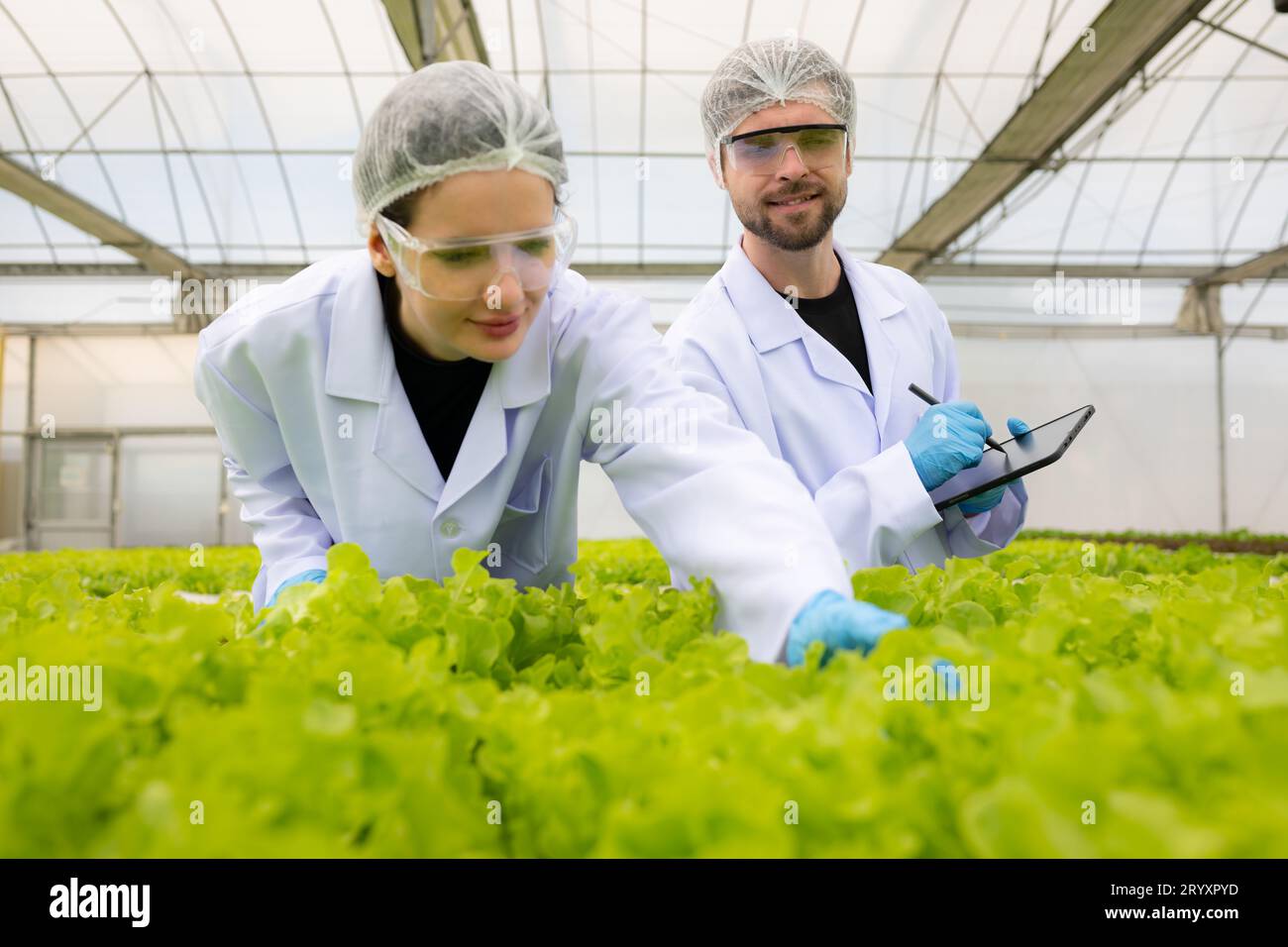 Scientists are conducting research and development on the cultivation ...