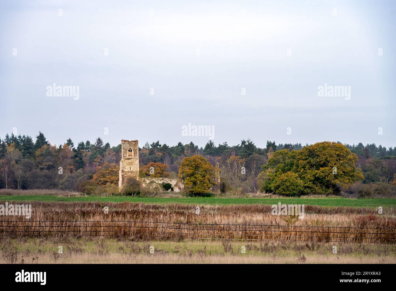 View of Babingley Saint Felix derelict Norman church in autumn, Norfolk ...