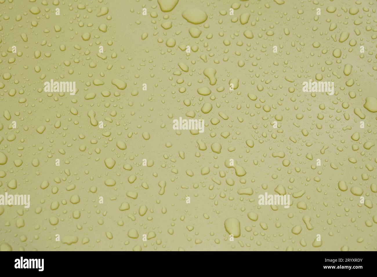 Close up water drop abstract background wallpaper on yellow color wet ...