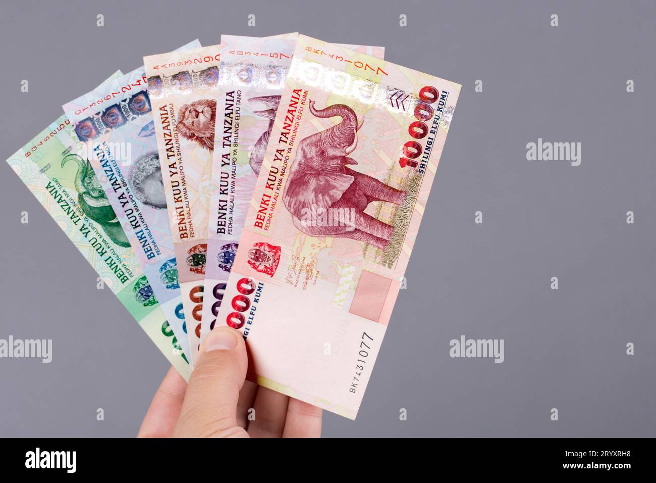 Tanzanian money in the hand on a gray background Stock Photo - Alamy